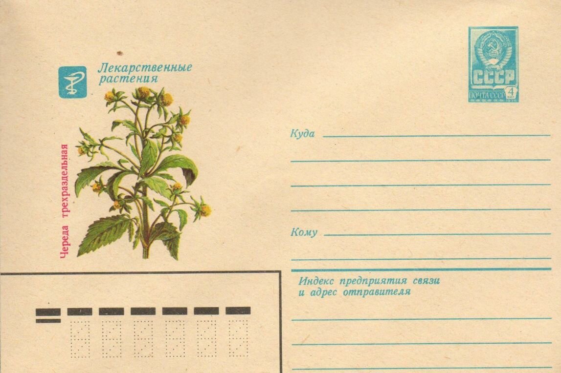 Конверт почтовый СССР Череда трехраздельная. Лекарственные растения. 1980 год