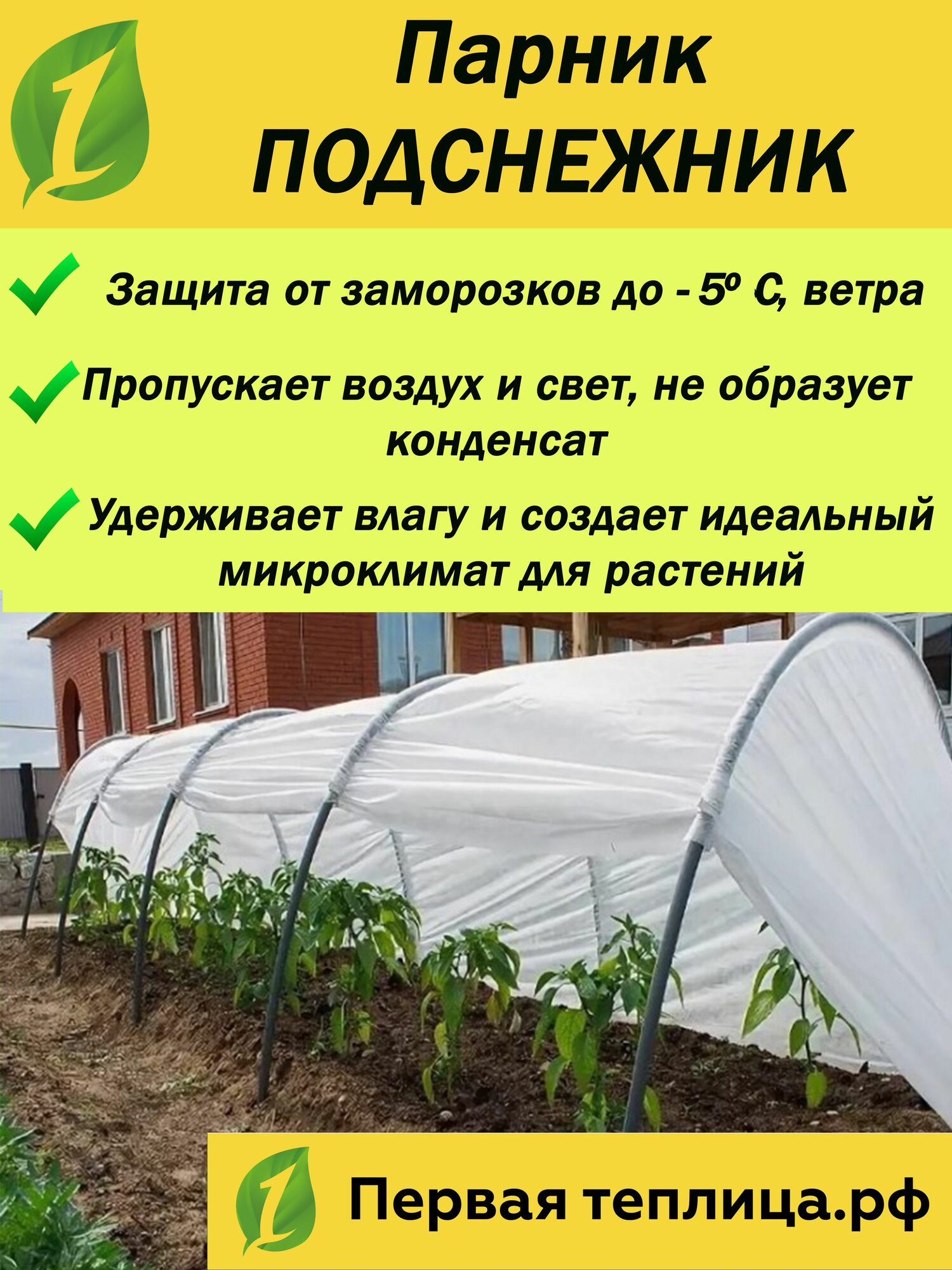 Парник, теплица — фото 1