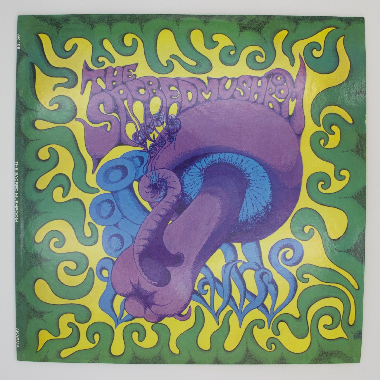 Виниловая пластинка The Sacred Mushroom - I Don't Like You, 1xLP, NM