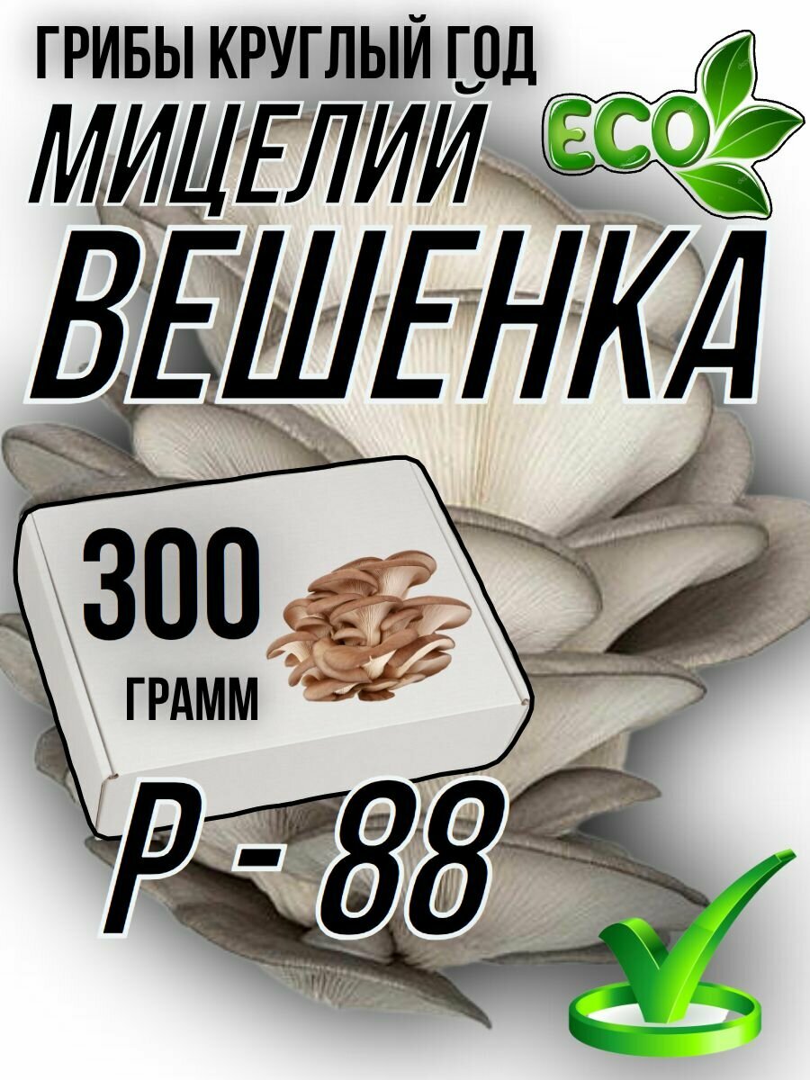 Семена Вешенки (Лесная) штамм р 88 300 гр