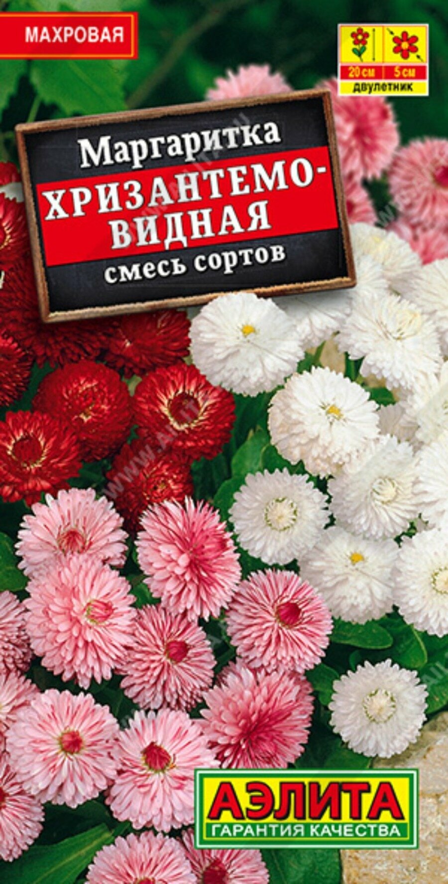 Семена Маргаритка Хризантемовидная, смесь сортов (0,05 г), Агрофирма Аэлита
