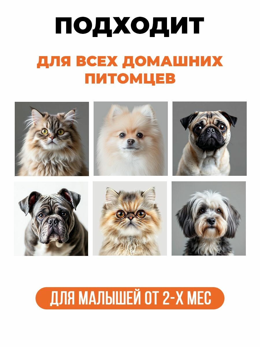 Косметика для животных — фото 1