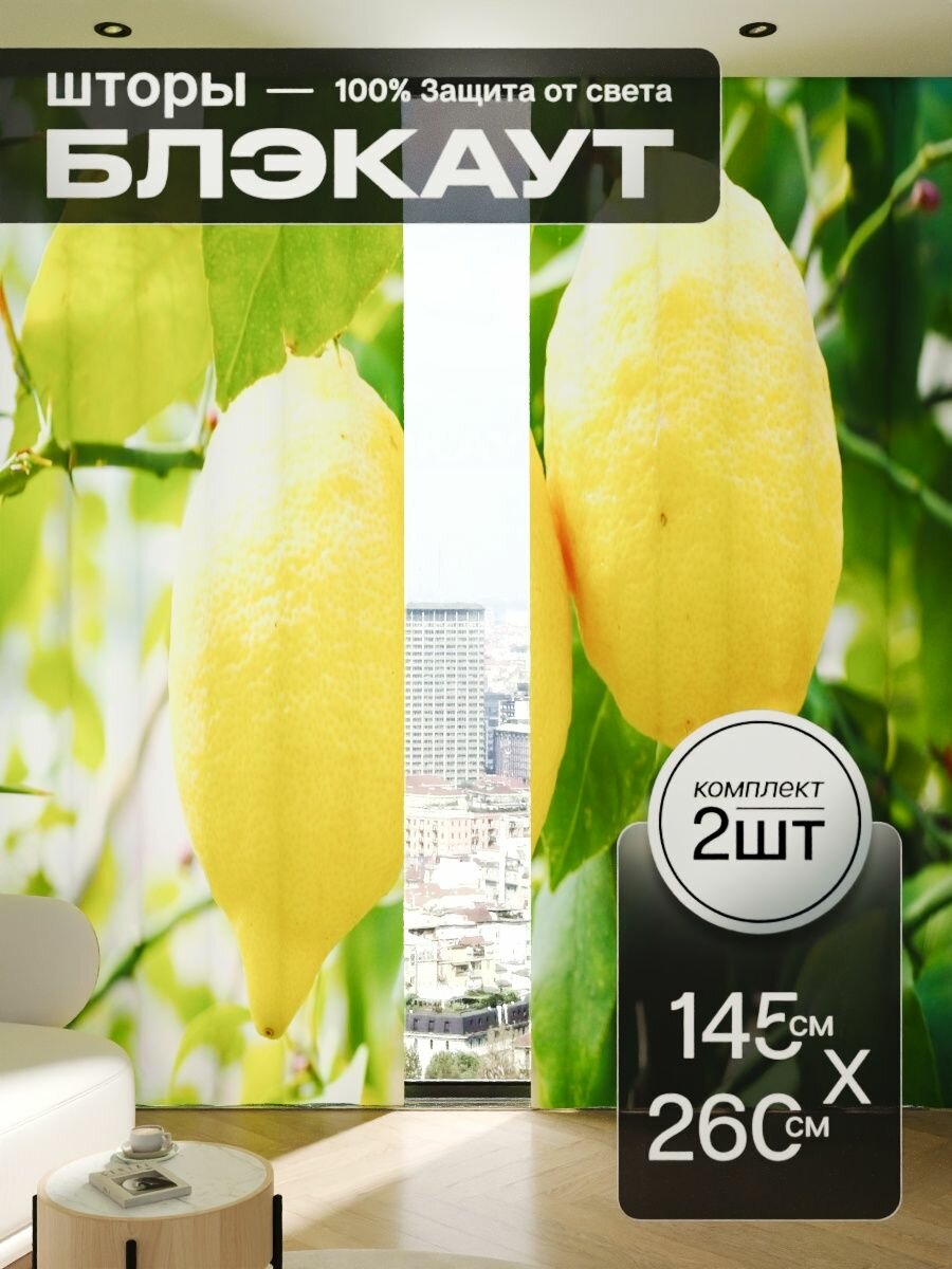Шторы блэкаут 145x260 см 2 шт на окна плотные комплект