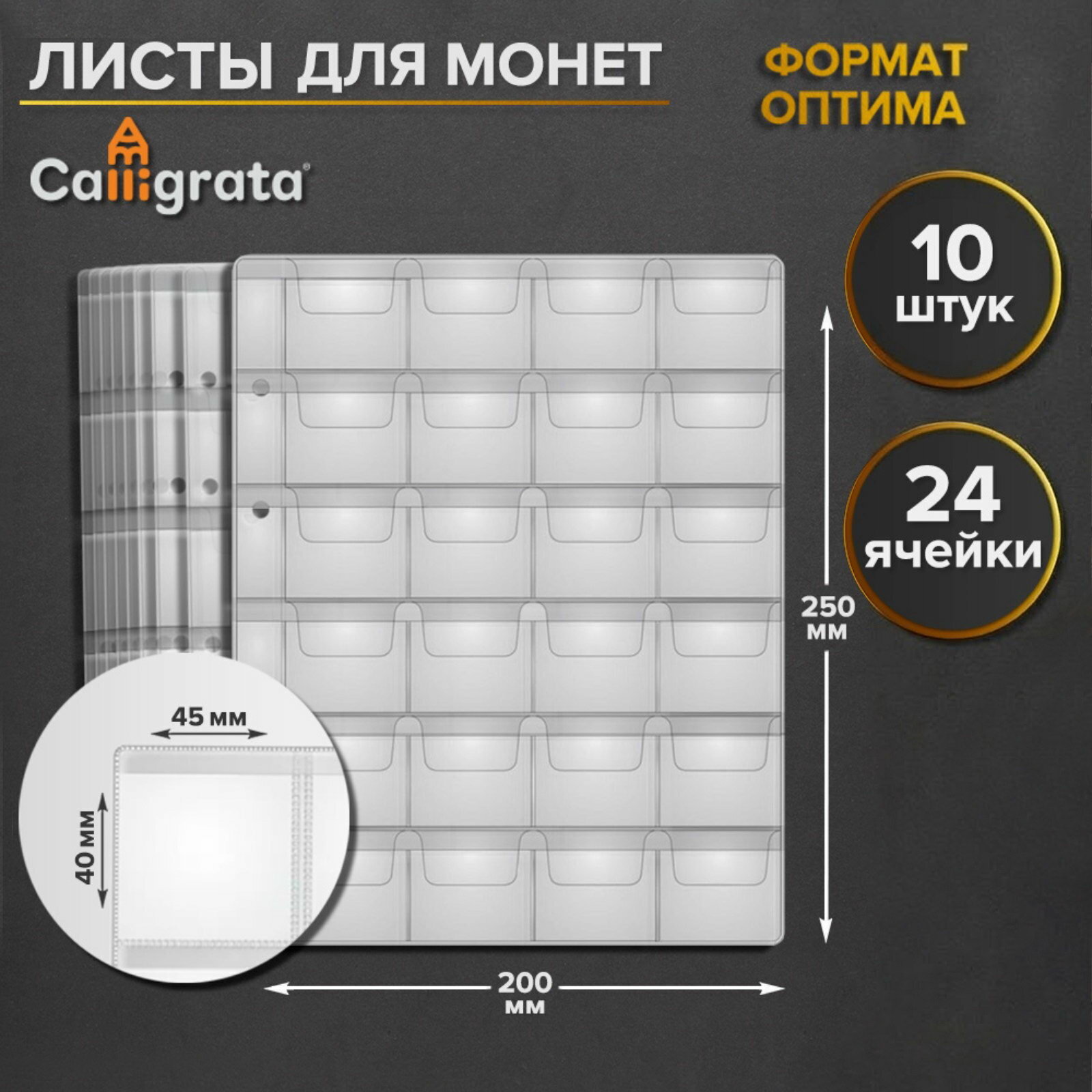 Набор листов для монет, формат "Оптима", 10 листов 200x250 мм, на 24 ячейки 45x40 мм