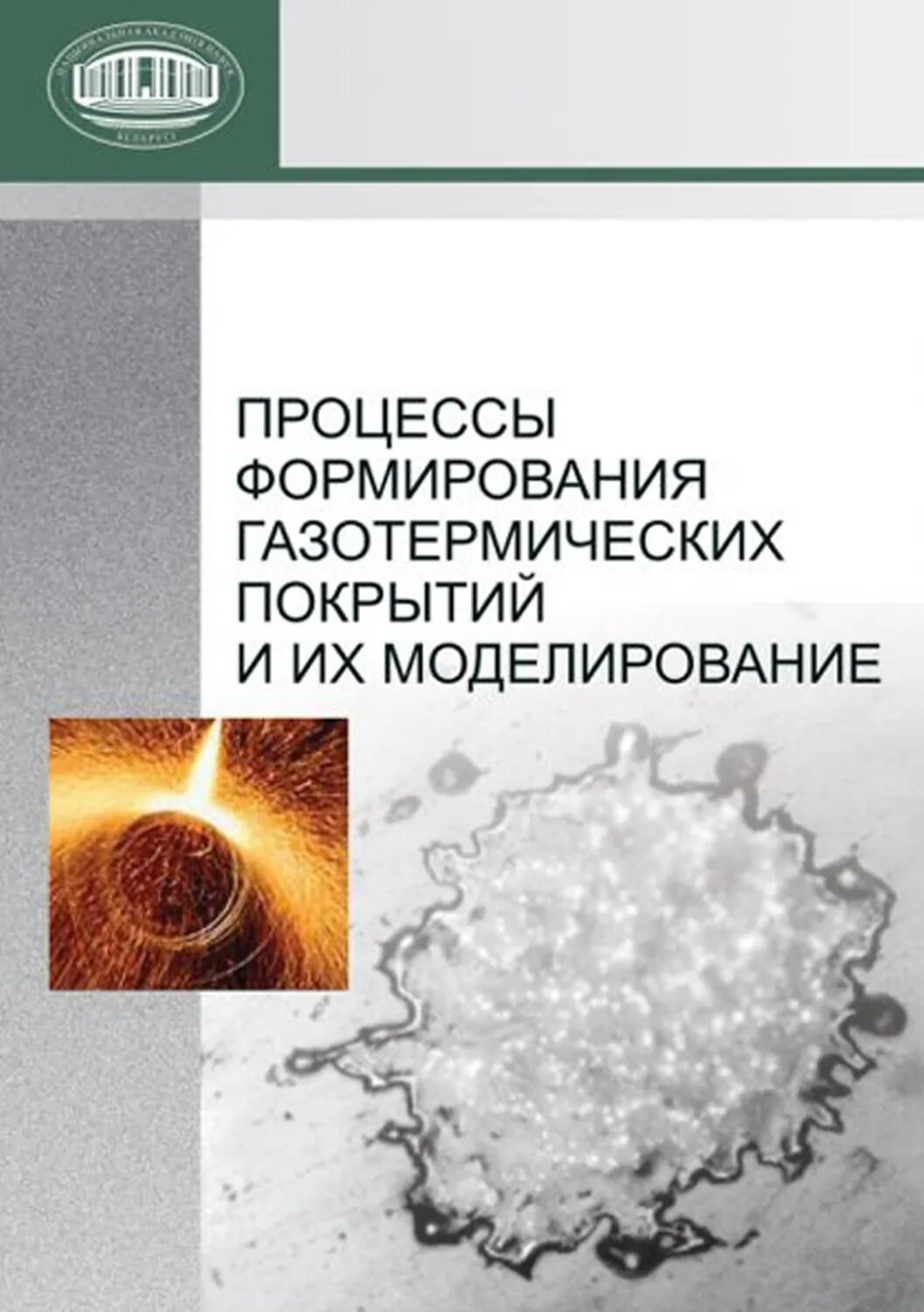 Процессы формирования газотермических покрытий и их моделирование [Цифровая книга]