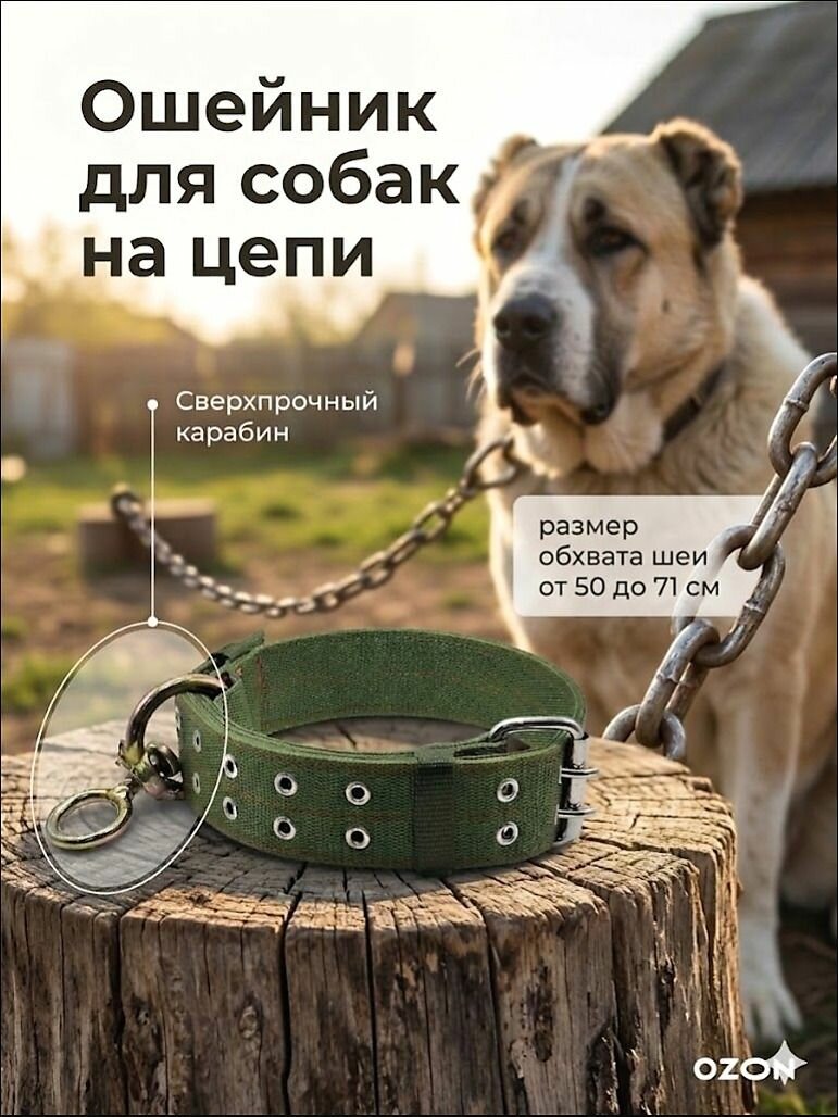 Ошейник для собак крупных пород на цепи усиленный ширина 50 мм длина 80 см хаки