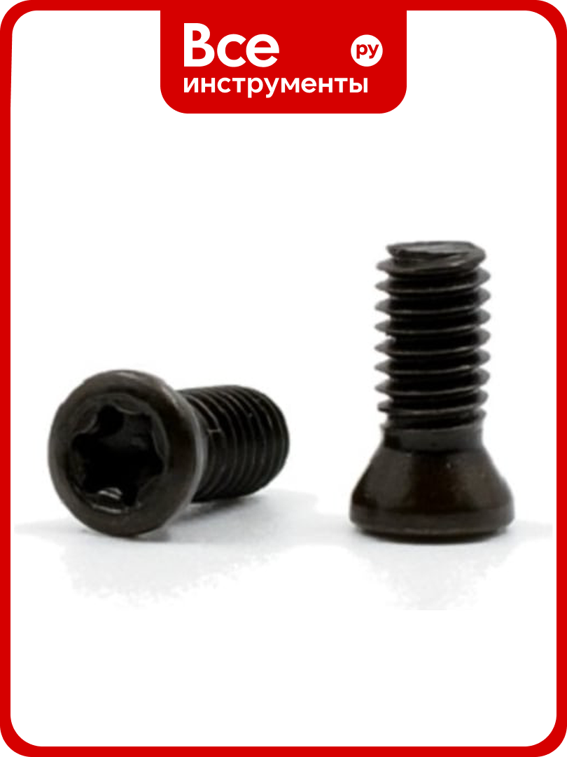 Винт для крепления пластин M3x6 DESKAR 00-00039857