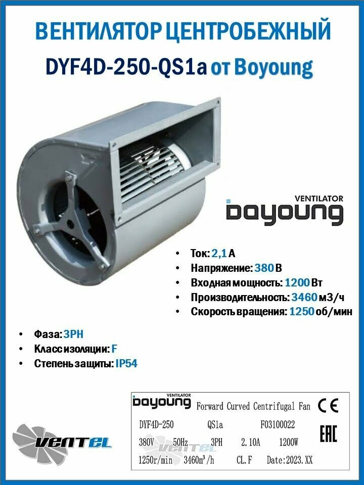 Вентилятор Boyoung DYF4D-250-QS1a центробежный