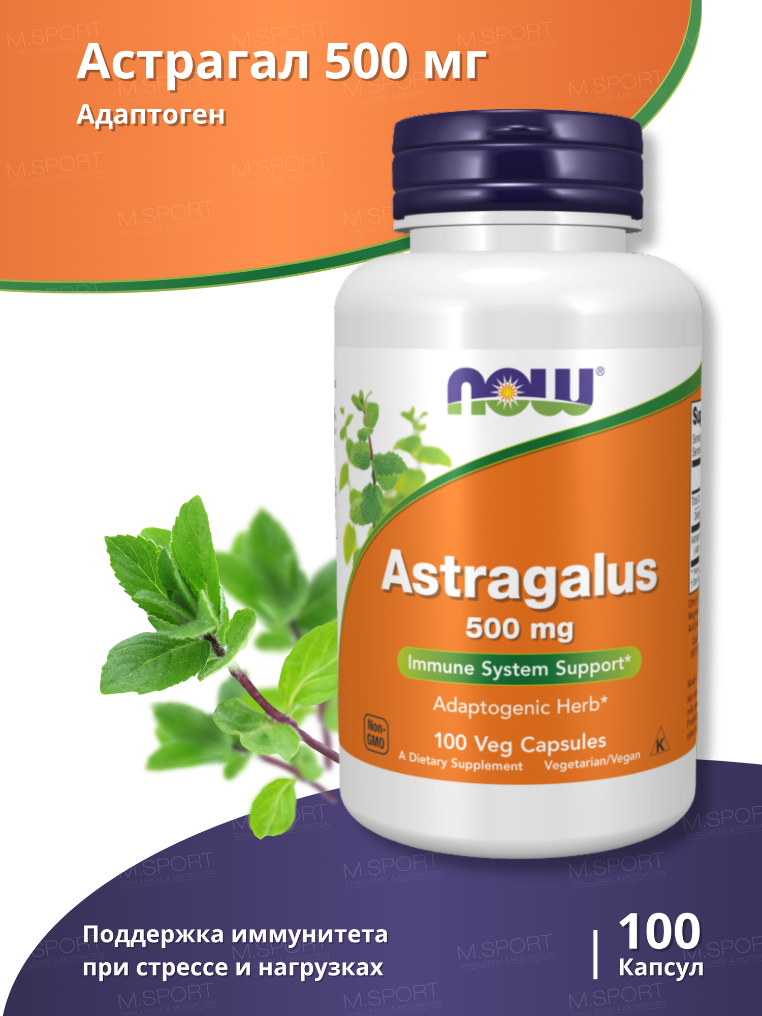 Комплекс витаминов Нау Фудс Астрагал 500 м 100 Вег Капс /Now Foods ASTRAGALUS 500 mg 100 Veg Caps