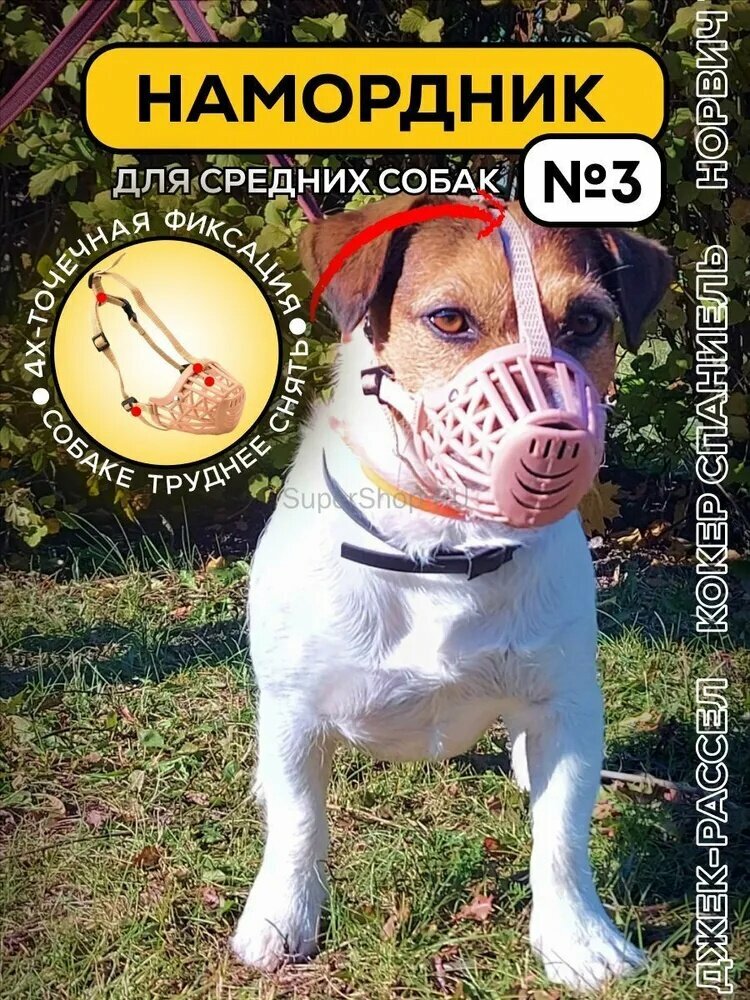 Намордник