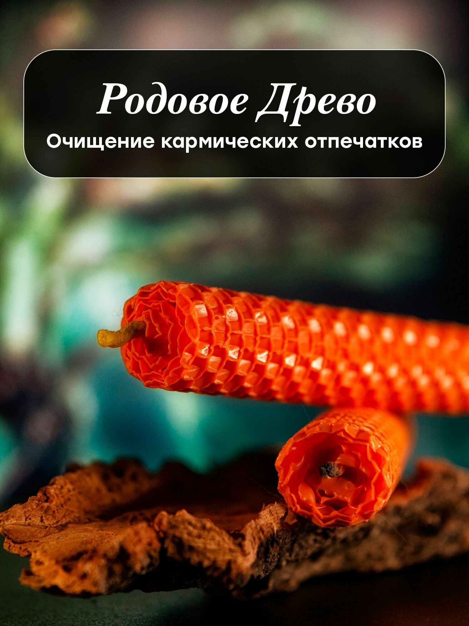 Магическая свеча Родовое Древо для очищения кармы Исцеление родовых программ