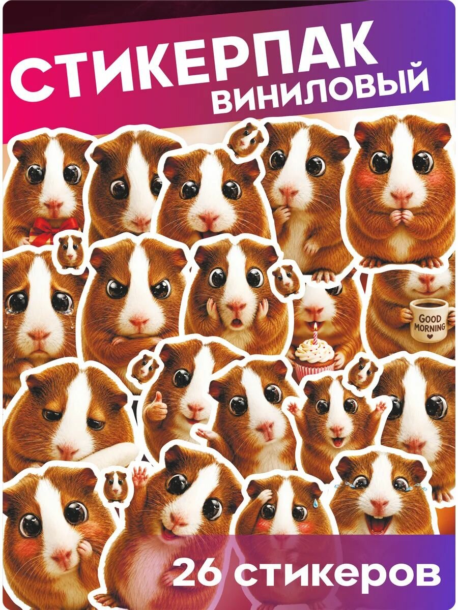 Набор наклеек Плаксик морская свинка мем