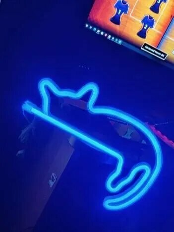 Неоновая вывеска Ленивый Кот с синей LED-подсветкой, питание от USB, декоративный ночник для детской комнаты и спальни