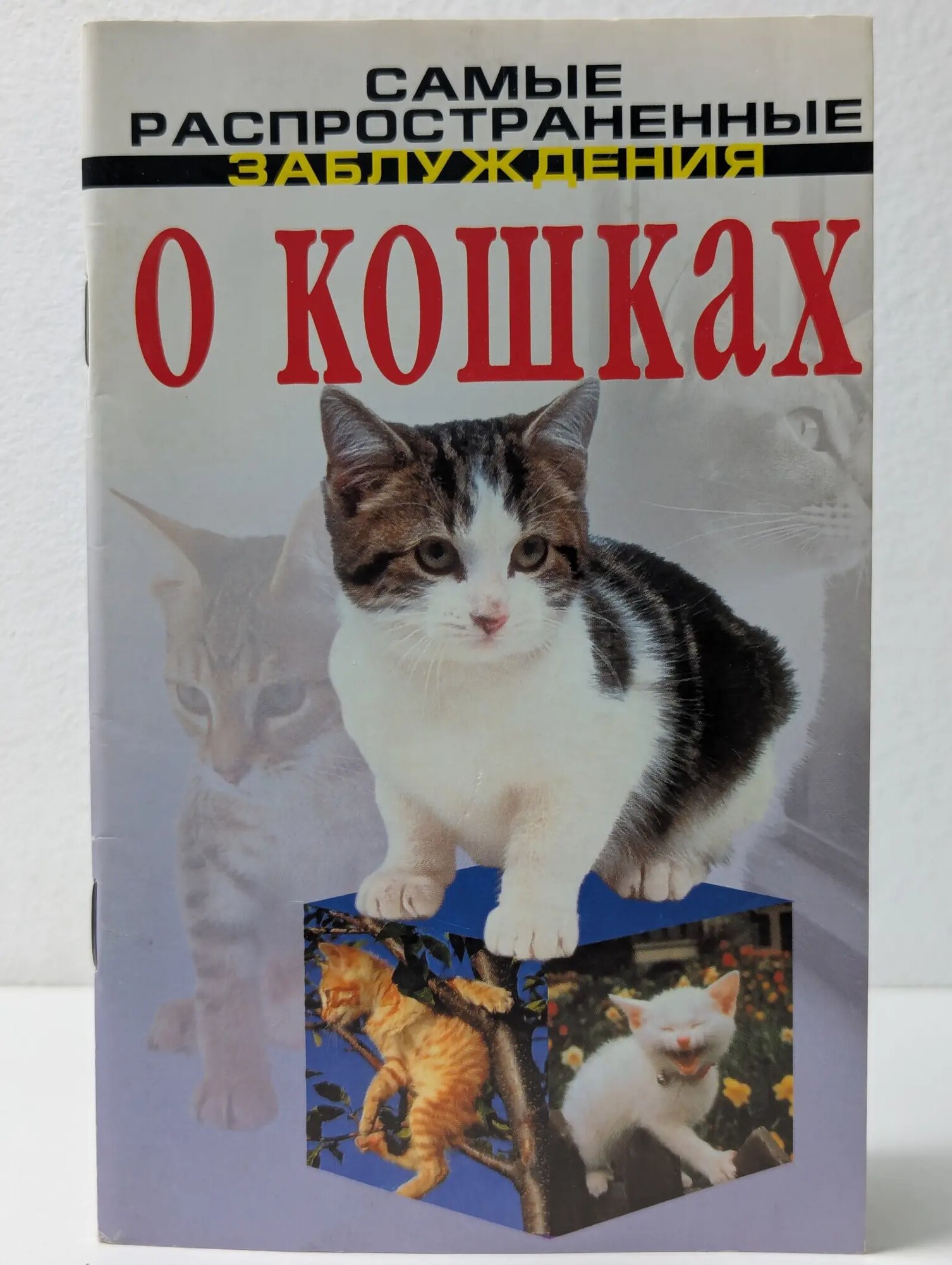 Самые распространенные заблуждения. О кошках Дудинский Денис Игоревич 2004