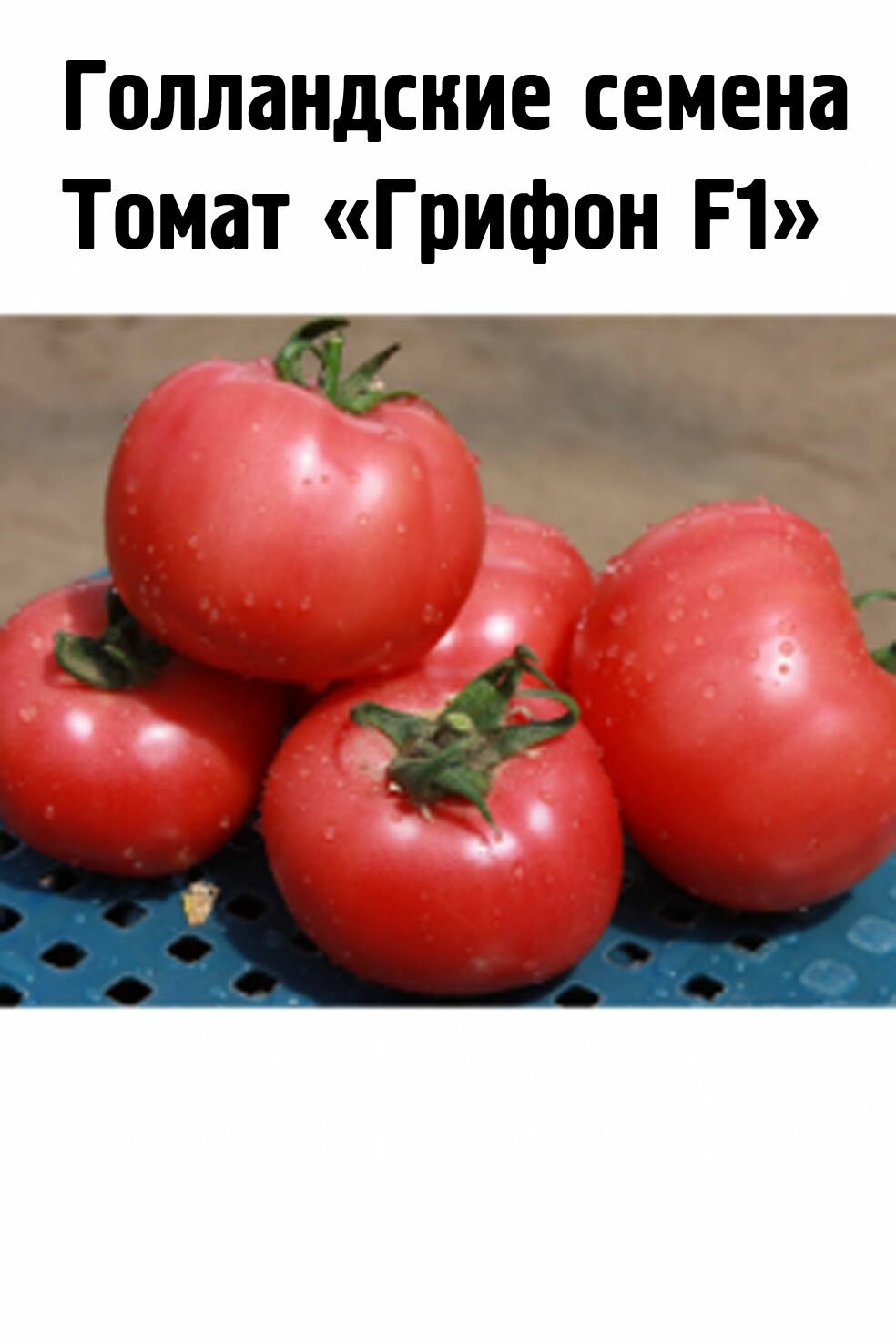 Семена томатов Грифон F1 5 семян