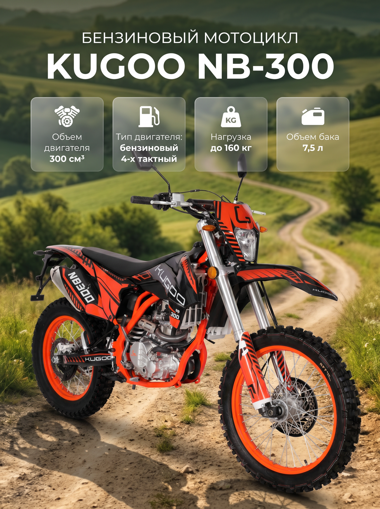 Бензиновый мотоцикл Kugoo NB-300 (водяное охлаждение). Двигатель 174MN 300 куб. см.