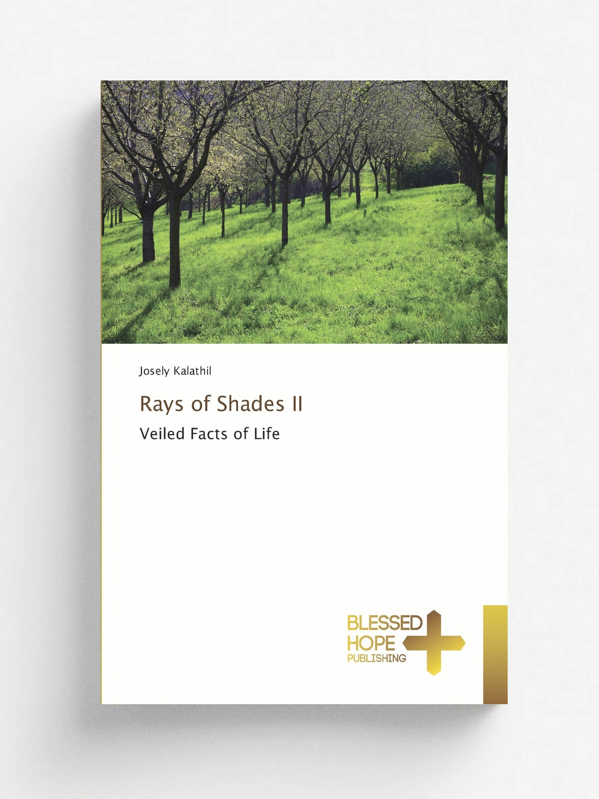 Rays of Shades II