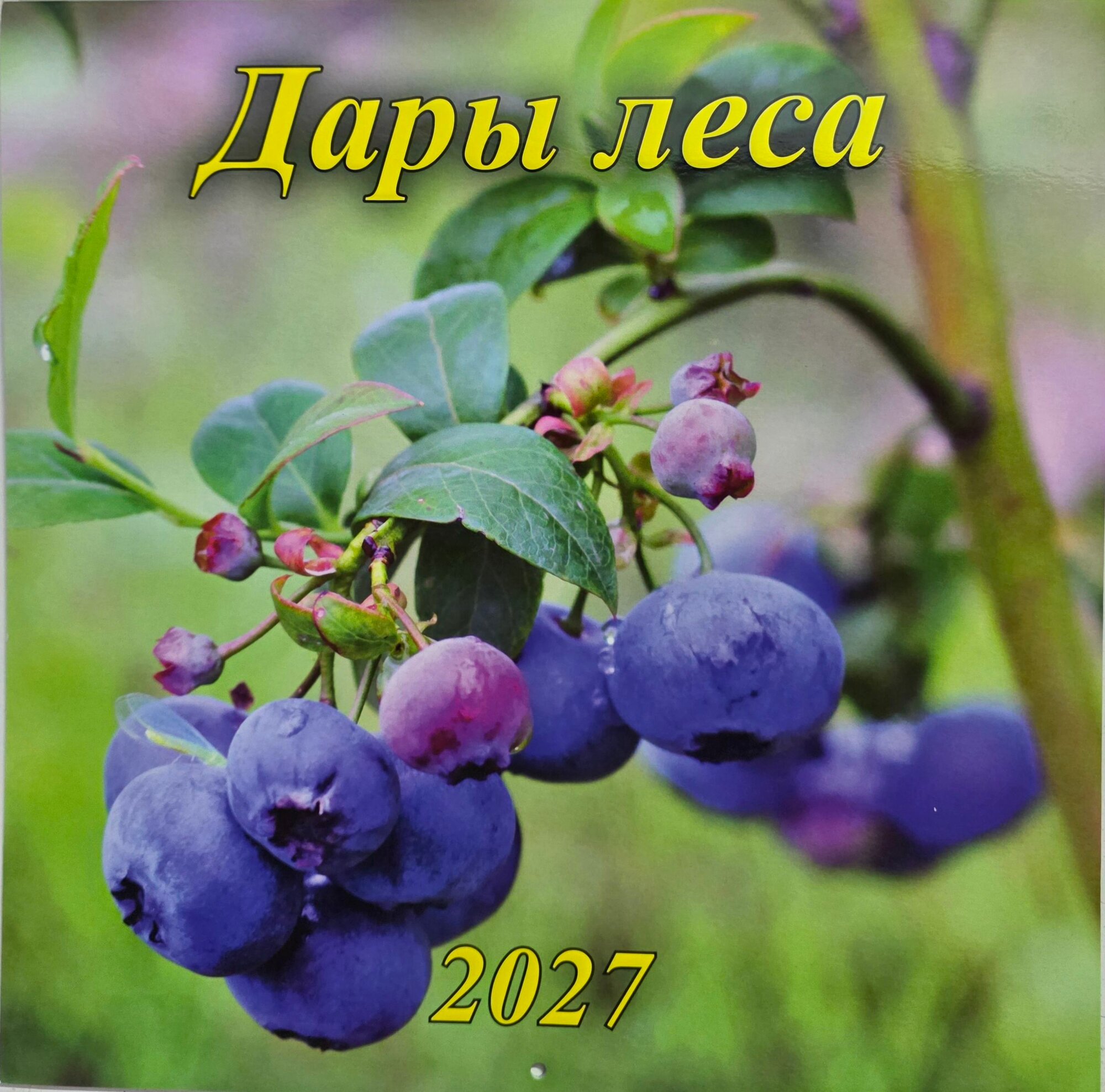 Календарь настенный 2027 . Дары леса . 29х29 . Остренин