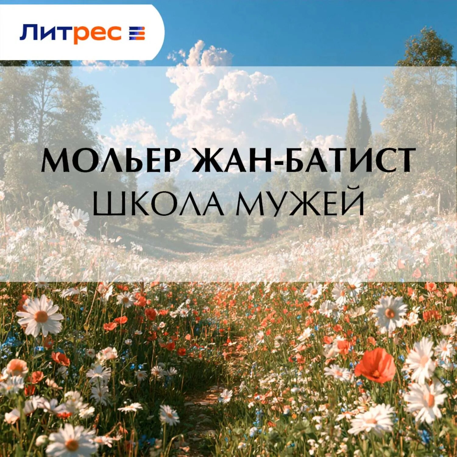 Школа мужей [Аудиокнига]