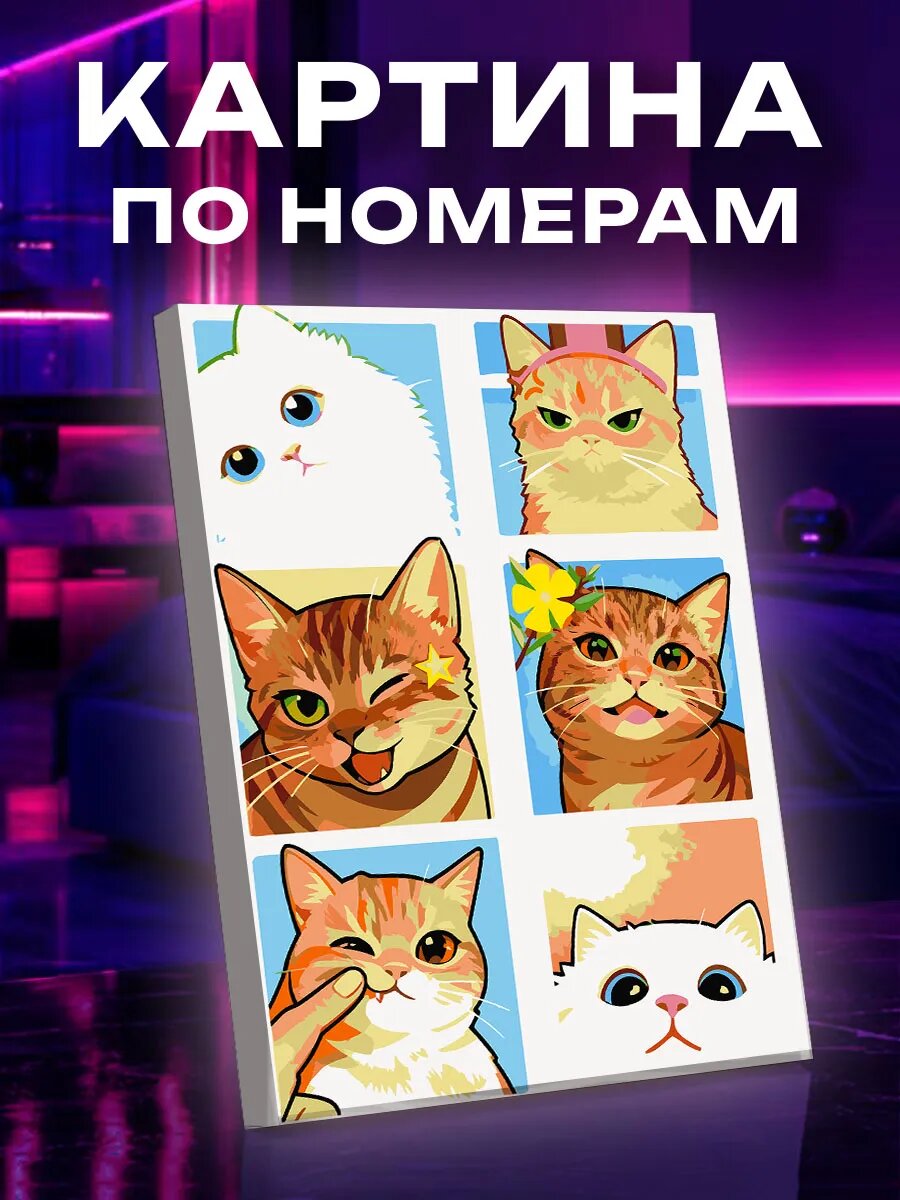 Картина по номерам Смешные котики
