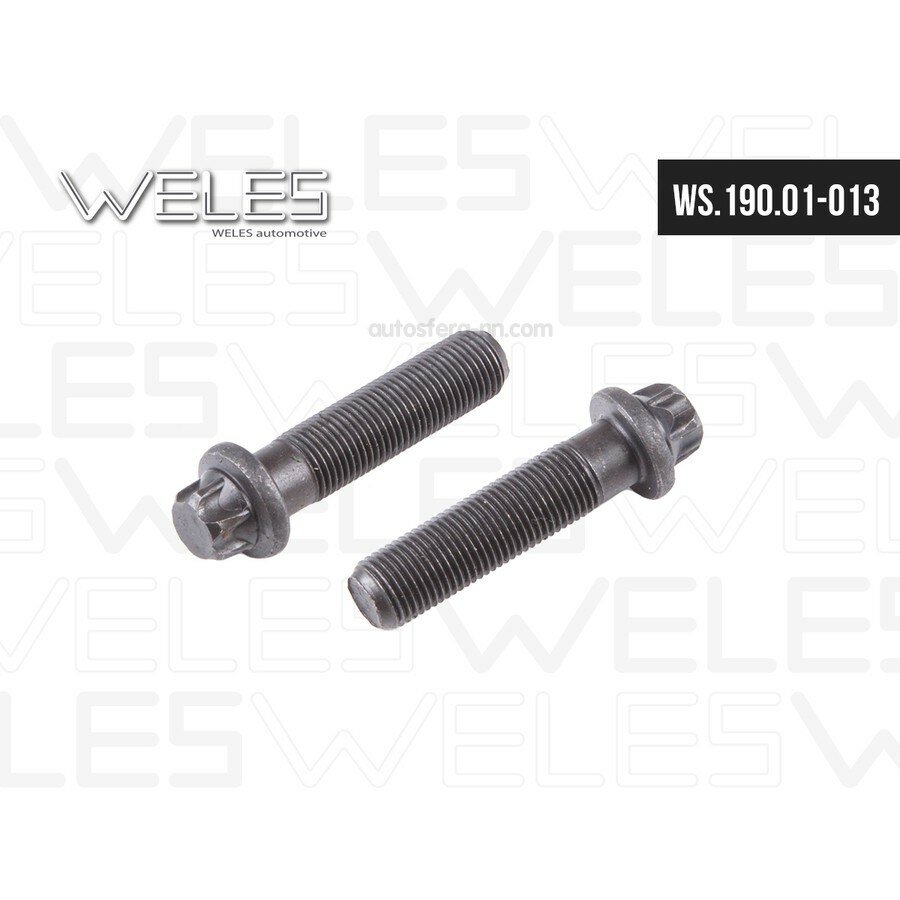 WELES WS19001013 Болт суппорта М10х1х40
