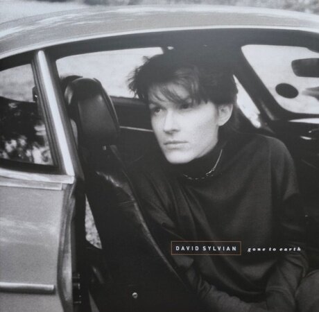 DAVID SYLVIAN Gone To Earth (Виниловая пластинка)