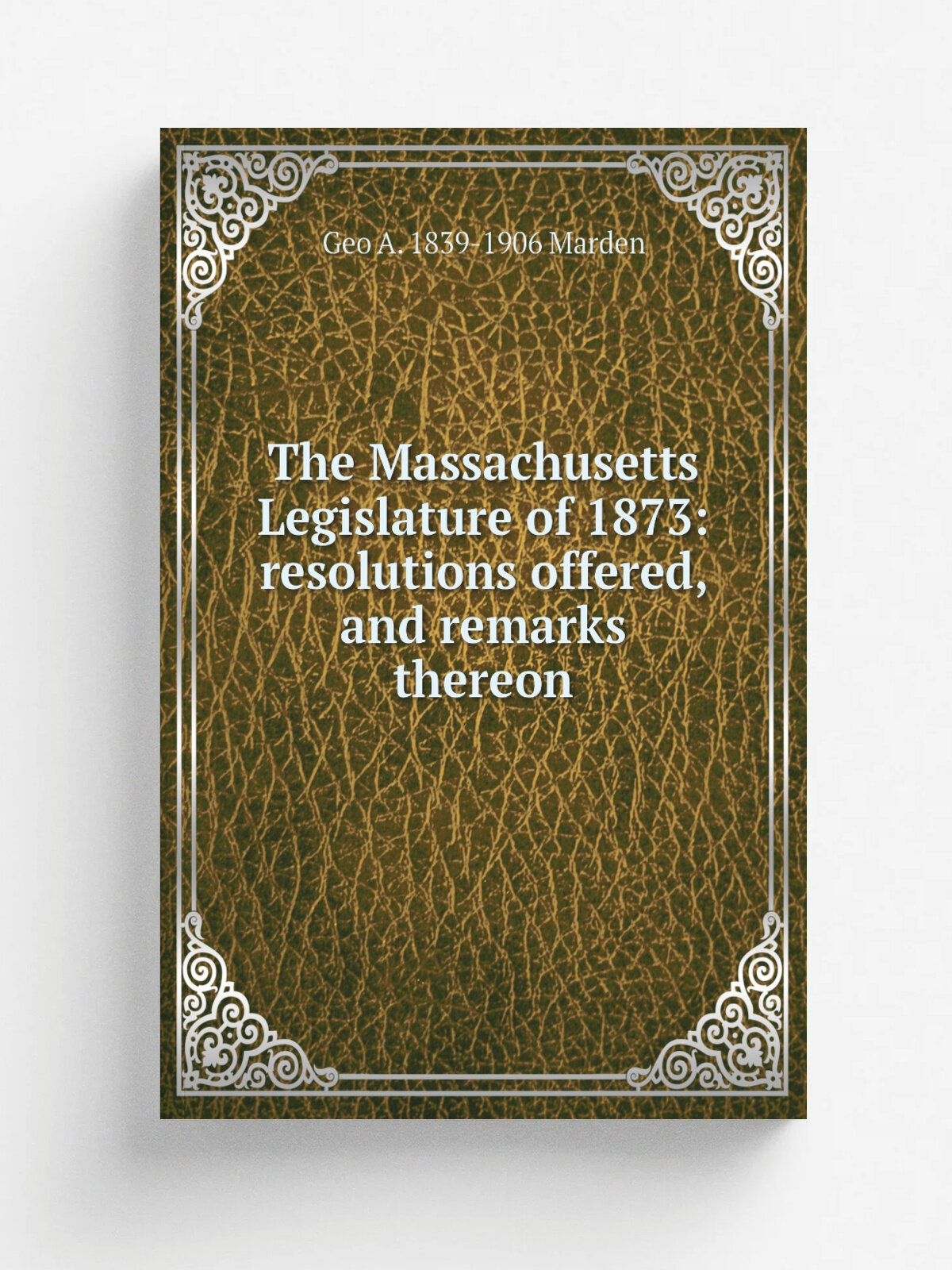 The Massachusetts Legislature of 1873: resolutions offered, and remarks thereon