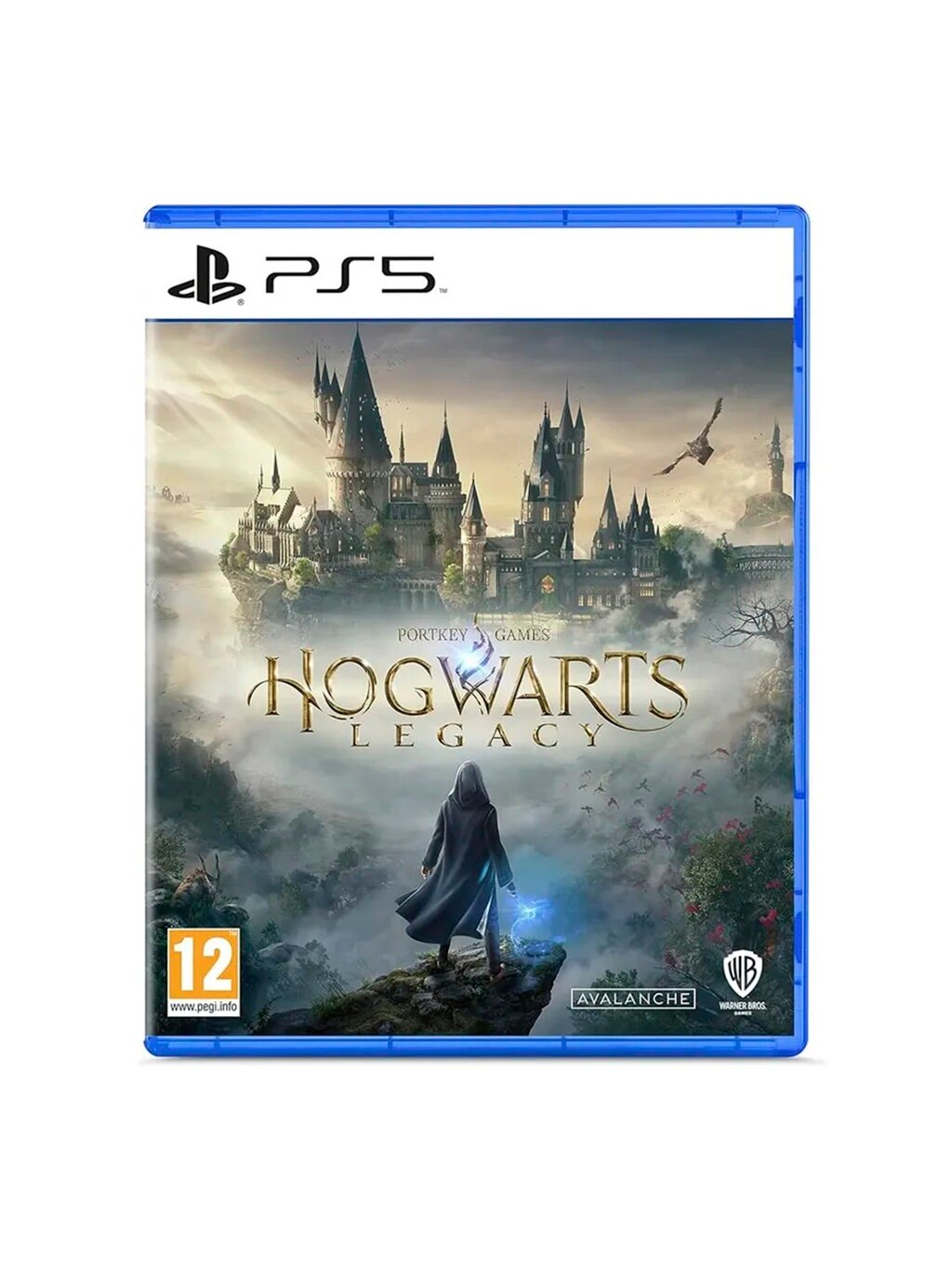 Игра Hogwarts Legacy для Playstation 5, русские субтитры, диск