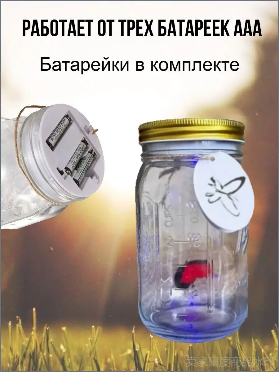 Бабочка в банке — фото 1