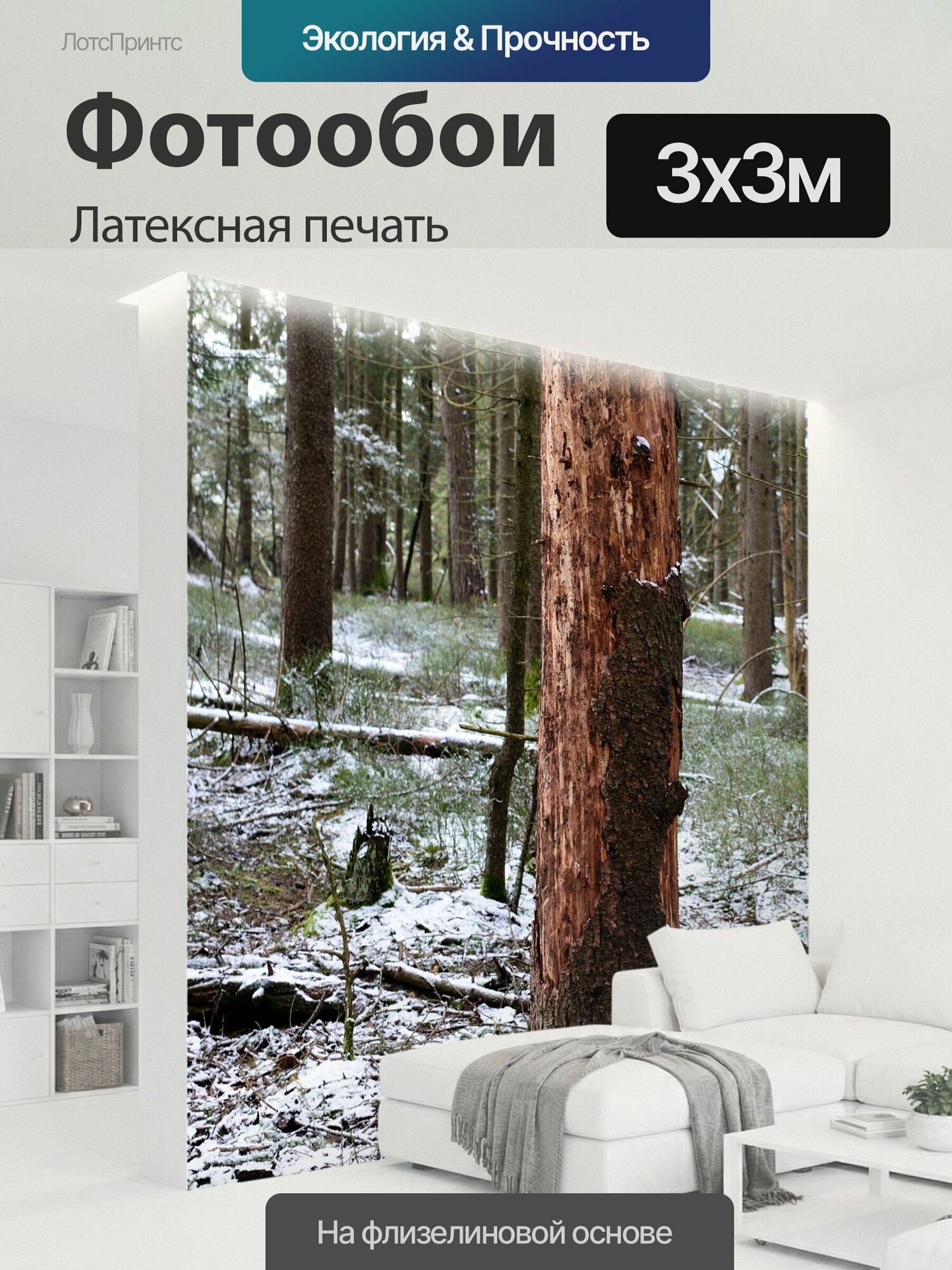 Фотообои моющиеся ударопрочные "Повреждение леса, кора дерева, поврежден" 300x300 см. латексная печать