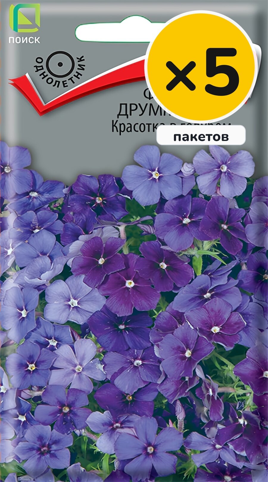 Семена флокса Друммонда Красотка в голубом, 0,1 г, 5 пакетов, Поиск, однолетник, высота до 25 см