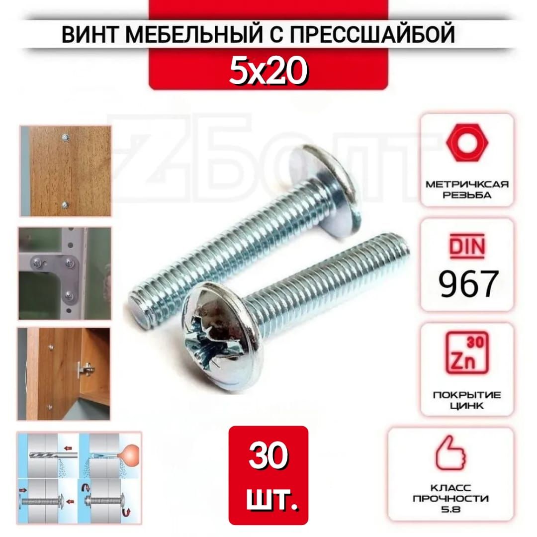 Винт мебельный с полукруглой головкой и прессшайбой, DIN967, 5х20, 30 шт.