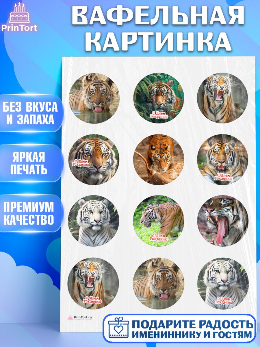 Вафельная картинка для торта мужчине Тигр. Украшения для торта мужчине на День Рождения. Декор для выпечки PrinTortPT117353