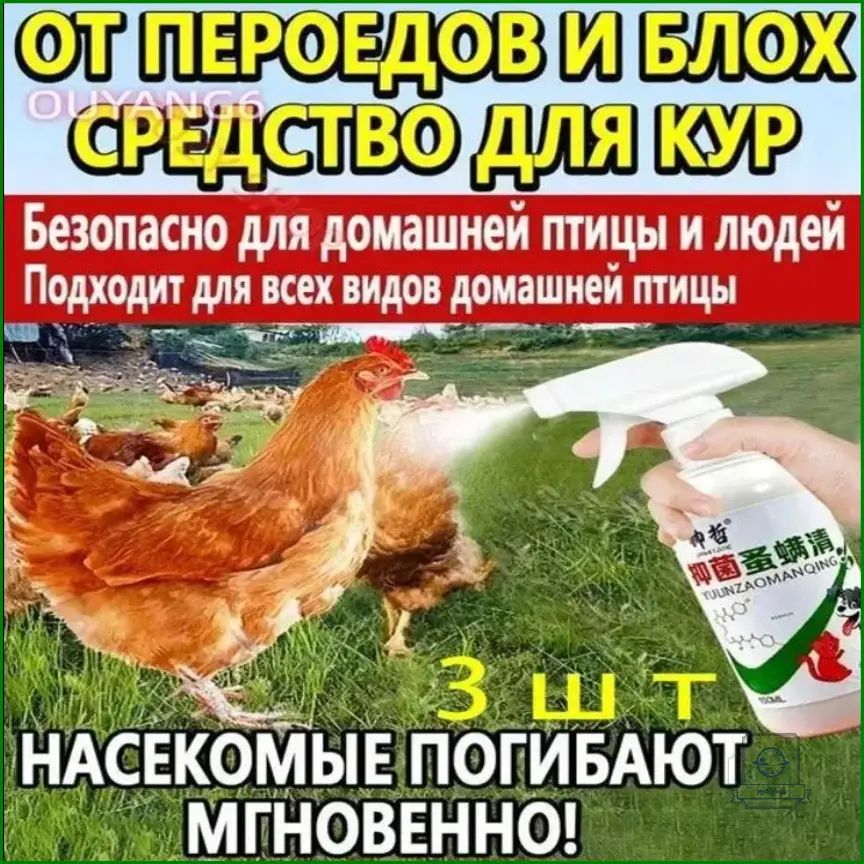 Премиум спрей для кур, 300 мл, избавляющий от пероедов и блох за одно нанесение, с защитой поголовья и санитарной обработкой курятника в комплекте с качественным распылителем