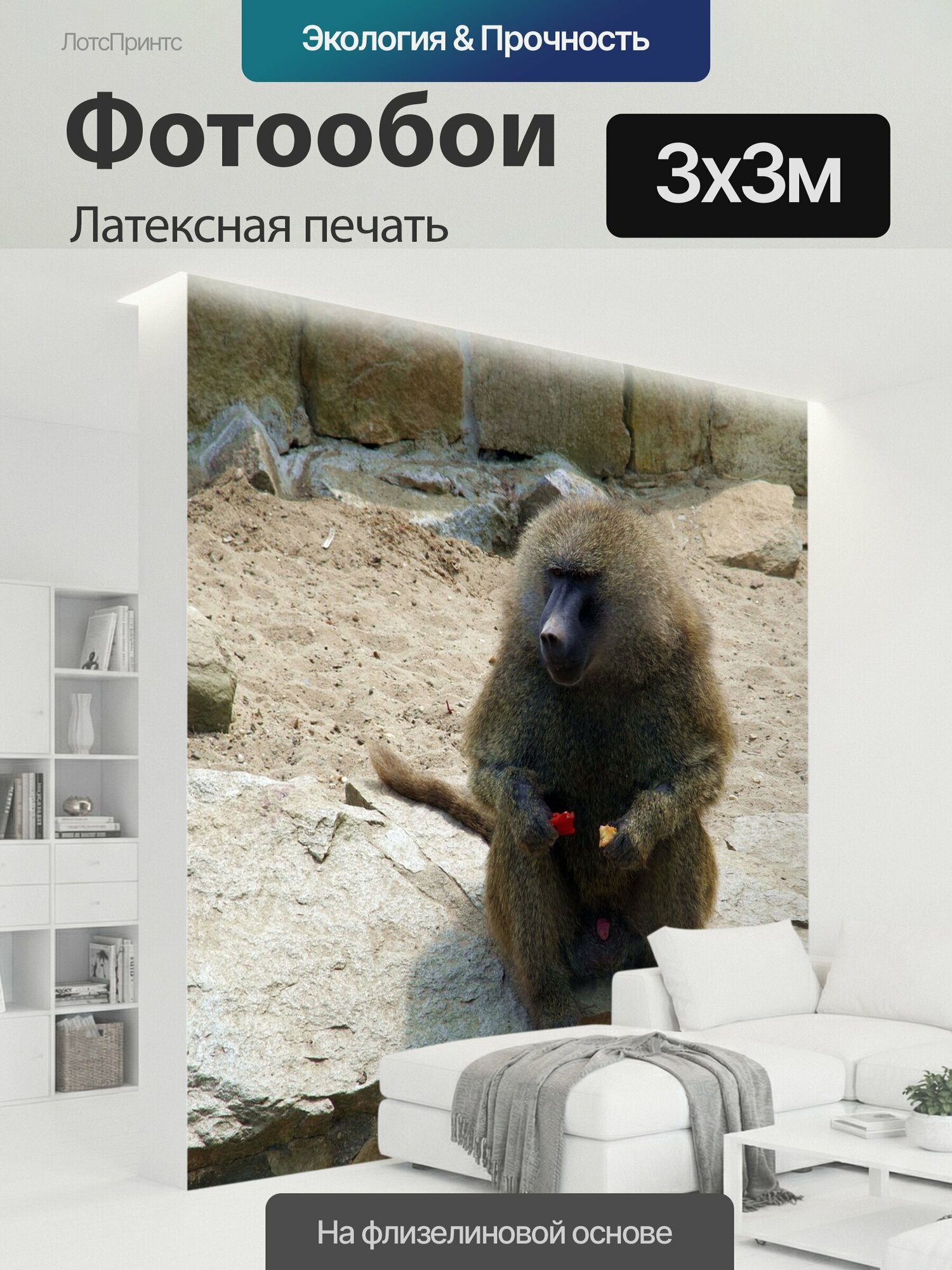 Фотообои моющиеся ударопрочные "Павиан, обезьяна, млекопитающее" 300x300 см. латексная печать
