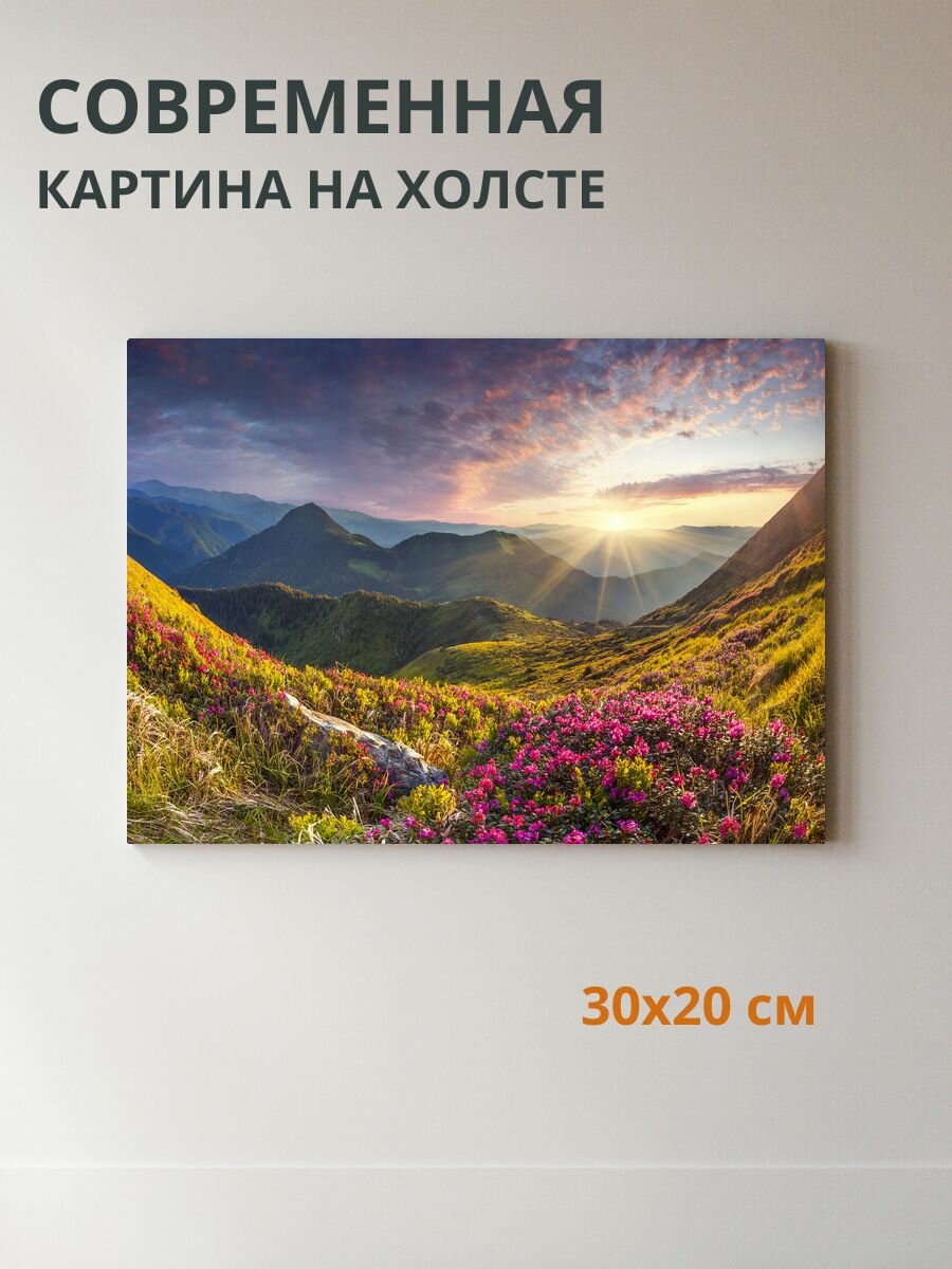 Картина на холсте Горы и цветы 30x20 см