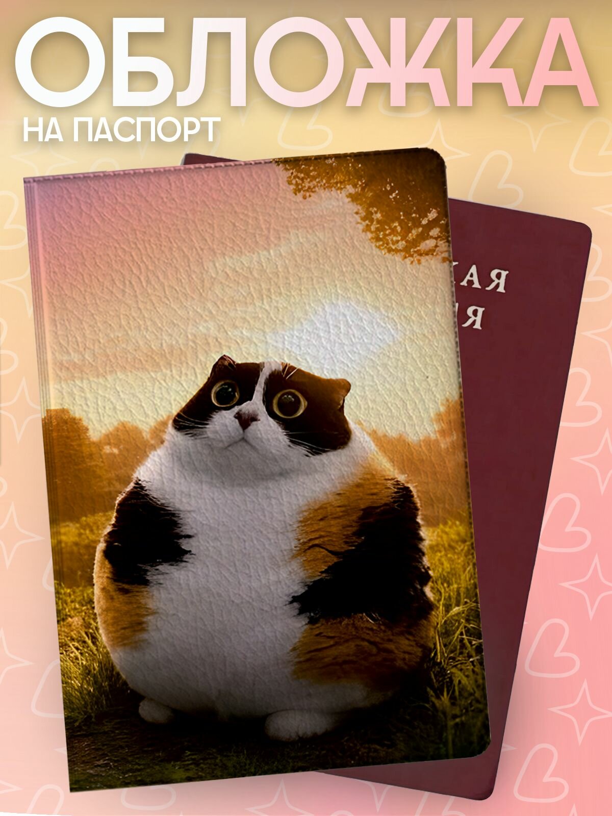 Обложка для паспорта Липучка