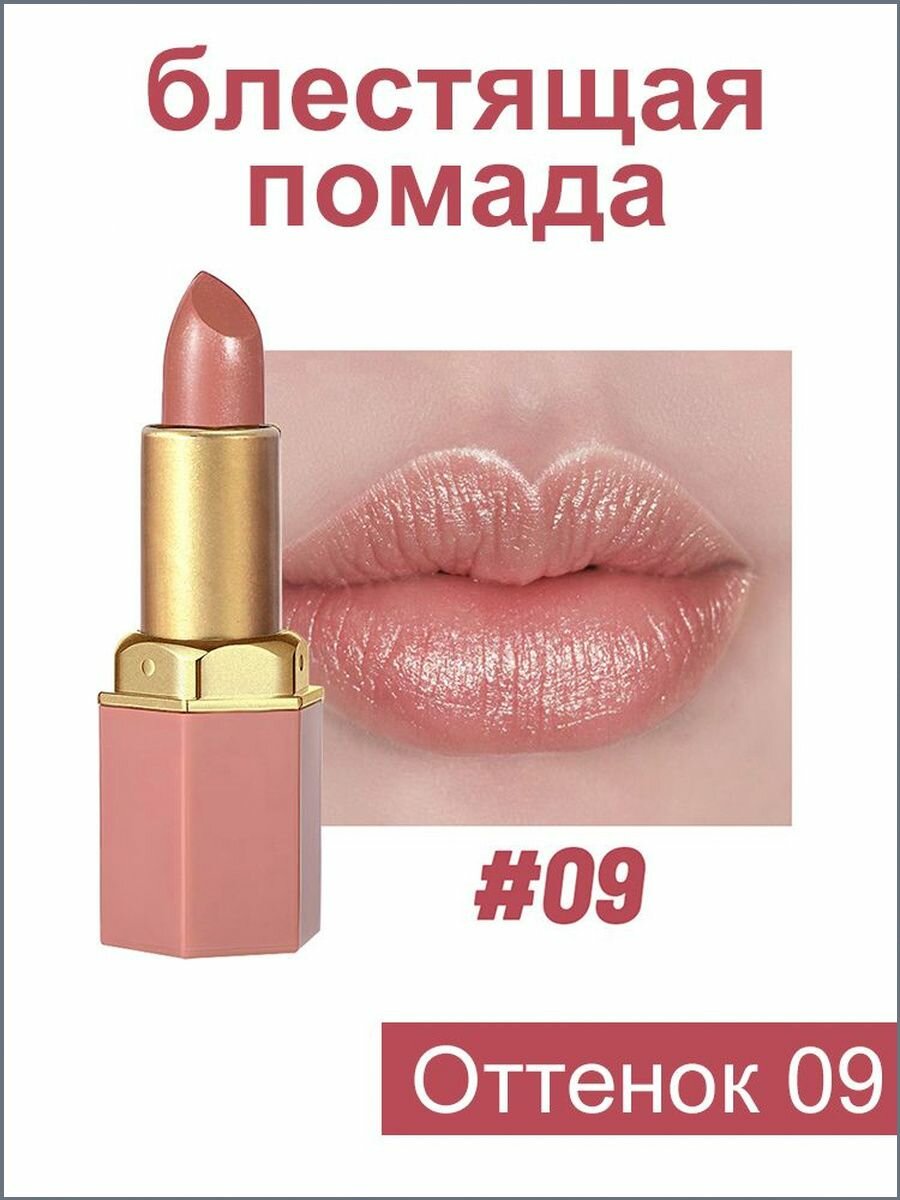 Элегантная помада для губ премиумкласса, 3.5г 09, с перламутровым отливом и насыщенным тоном
