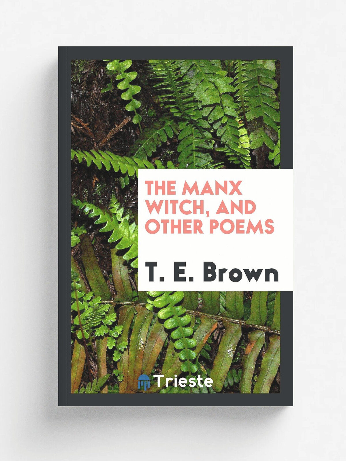 The Manx witch, and other poems