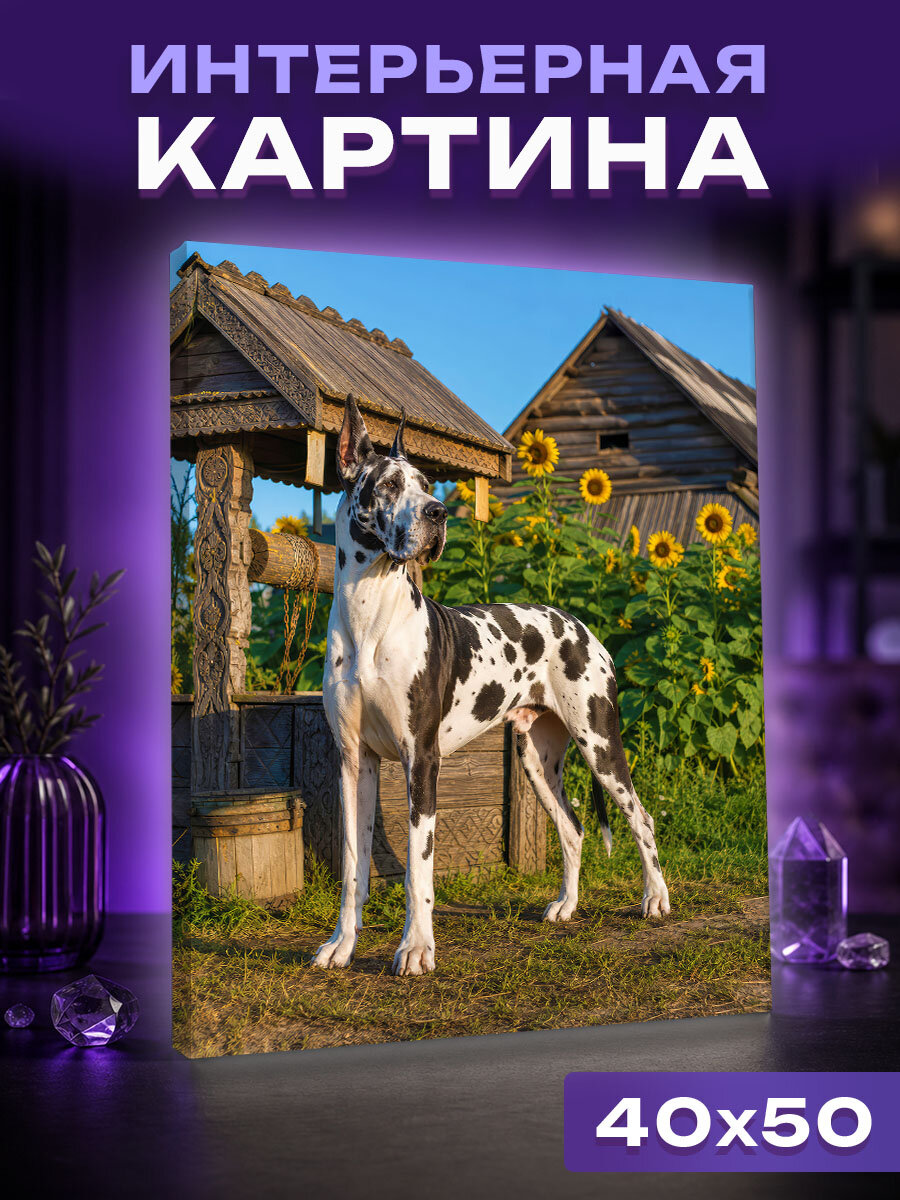 Интерьерная картина Дог у деревенского колодца