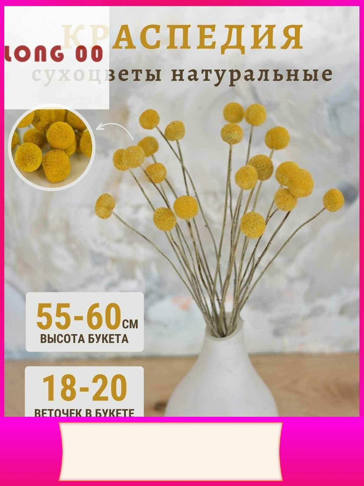 Эксклюзивный букет сухоцветов