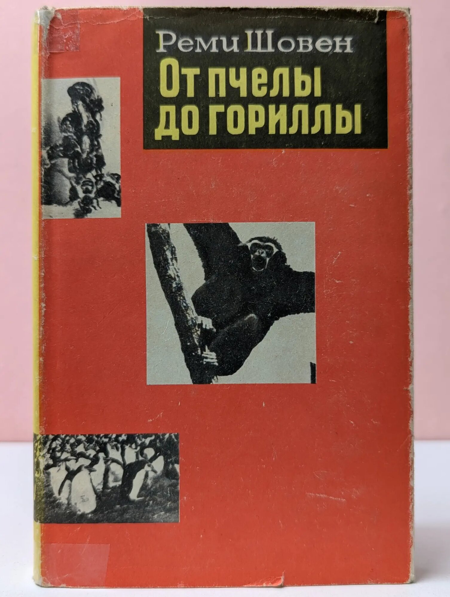 От пчелы до гориллы Шовен Реми 1965