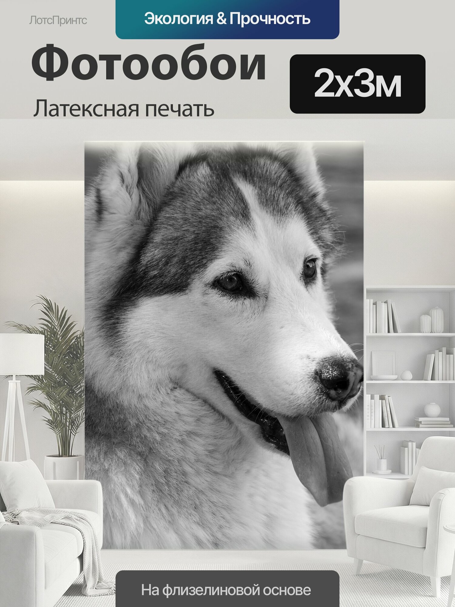 Фотообои моющиеся ударопрочные "Сибирский хаски, хаски, собака" 200x300 см. латексная печать