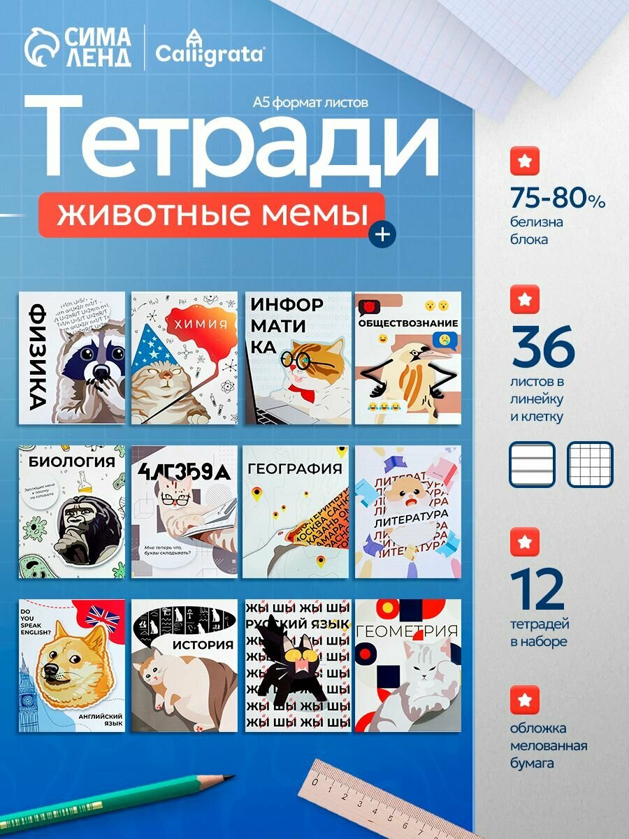 Тетради предметные 36 листов набор 12 штук со справочным материалом школьные в ассортименте для учебы