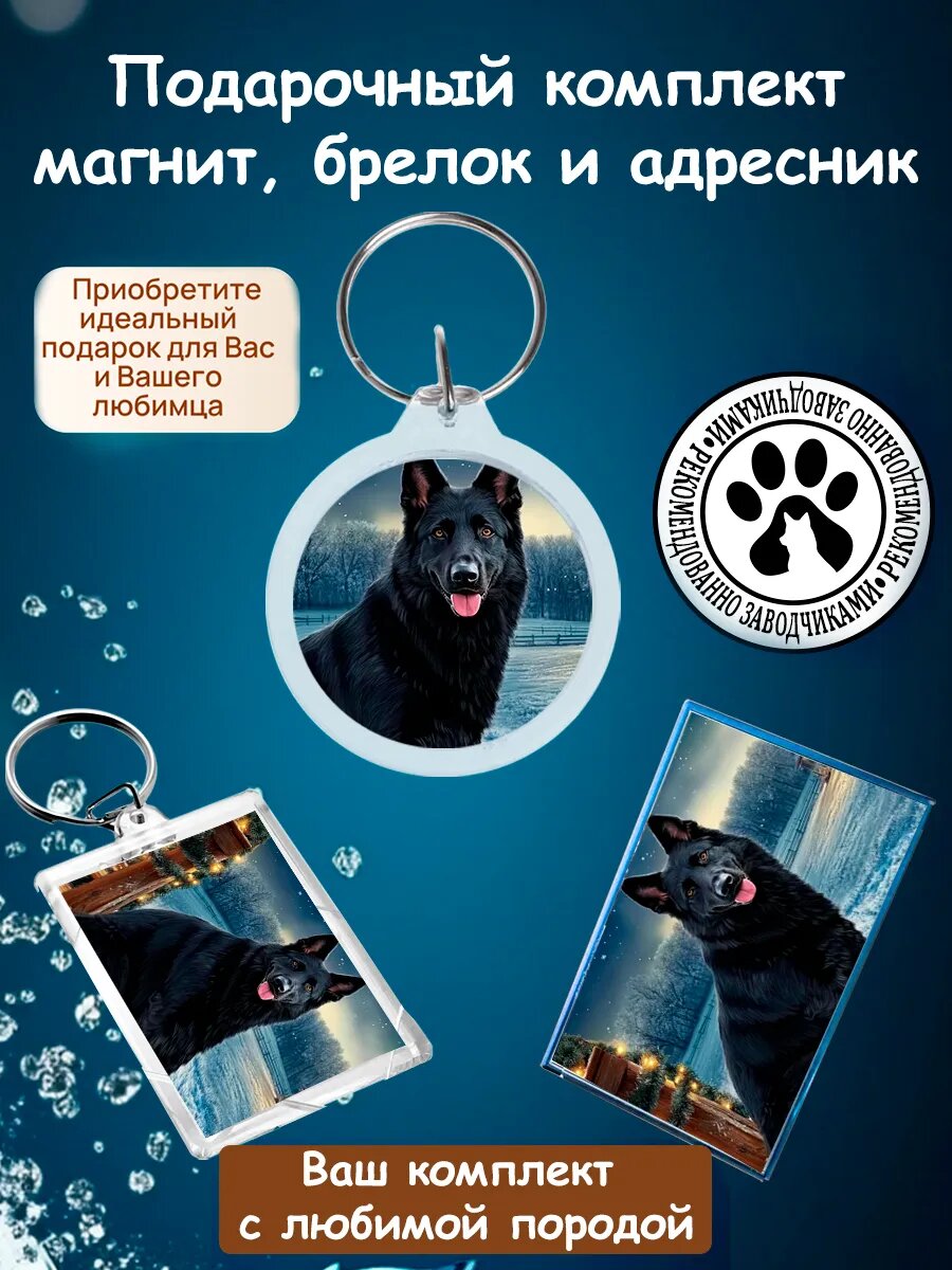 Подарочный комплект магнит брелок адресник