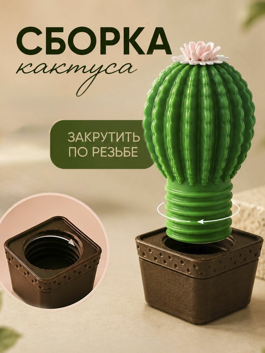 Подарочный конверт "Кактус" — фото 1