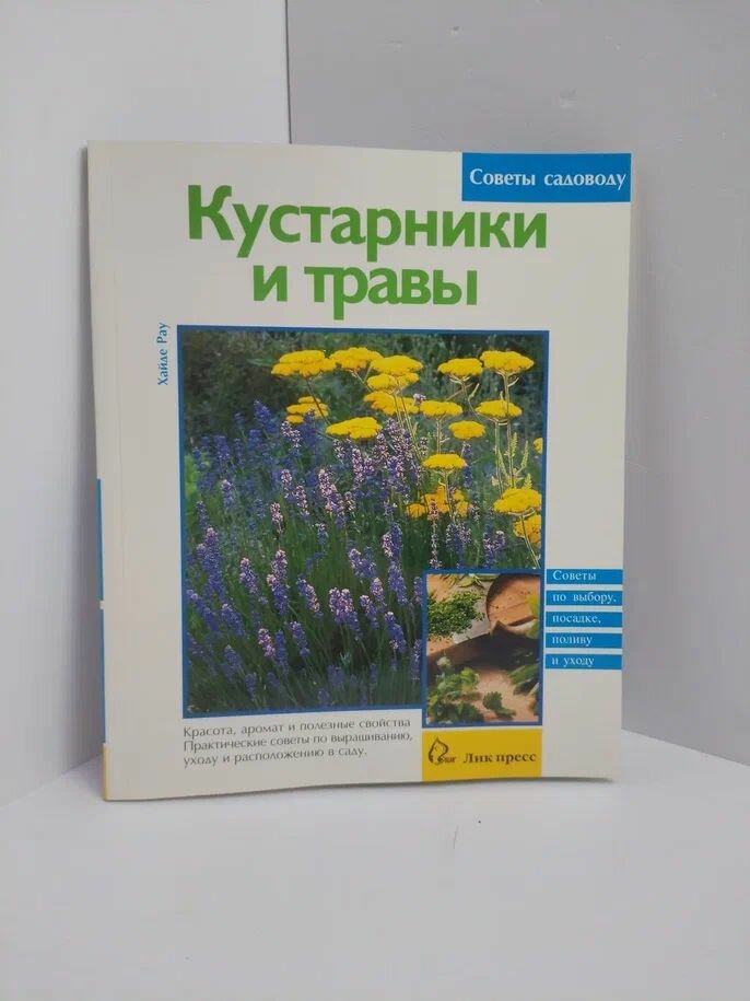 Кустарники и травы