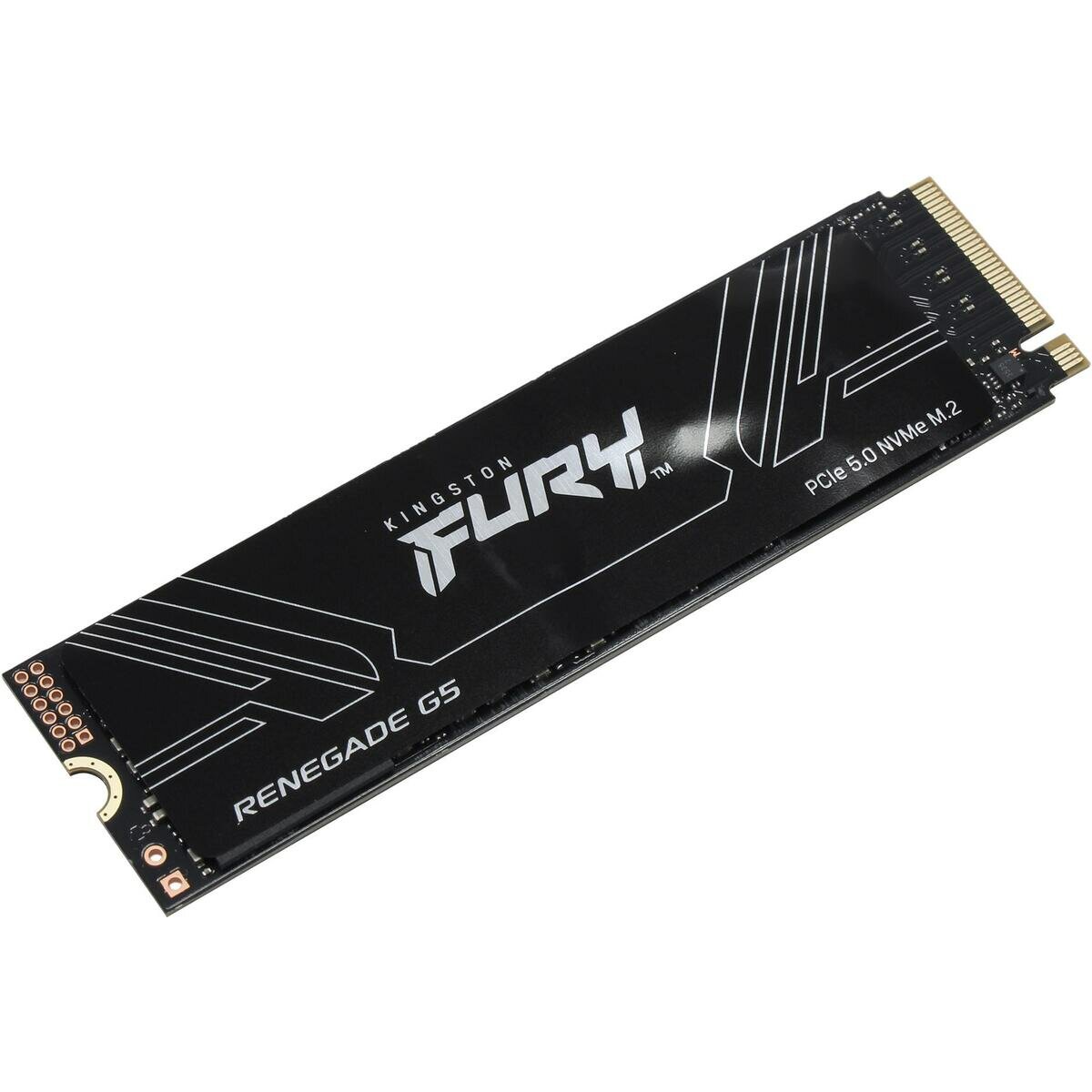 Fury Renegade G5 SFYR2S/1T0 1 Тб M.2 PCI-E Gen5 x4 M.2 Type 2280 M Key, TBW 1000, 0.54 DWPD — фото 1