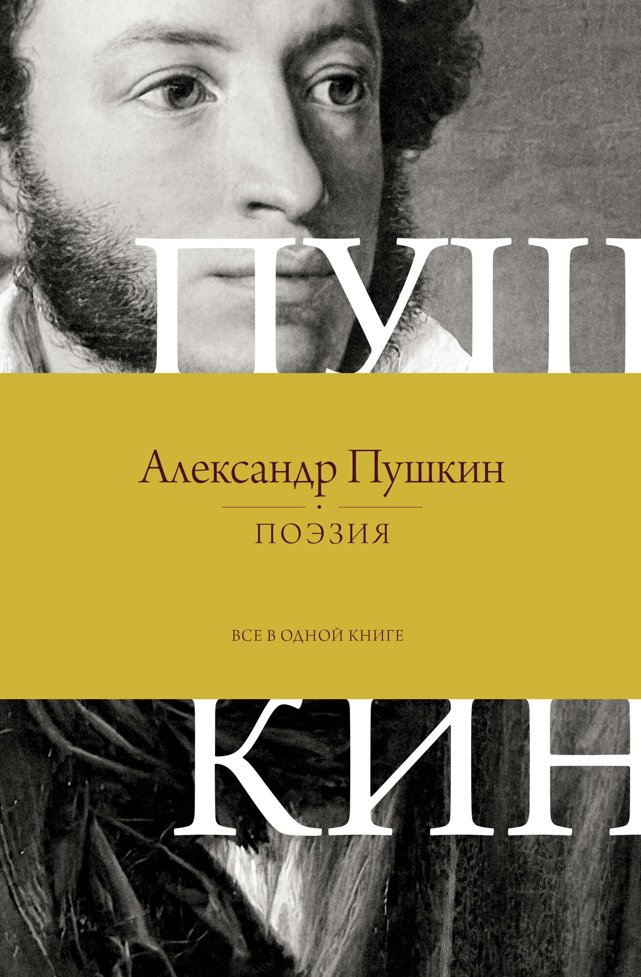 Книга "Поэзия. Все в одной книге", автор Пушкин А. С, издательство Антропос