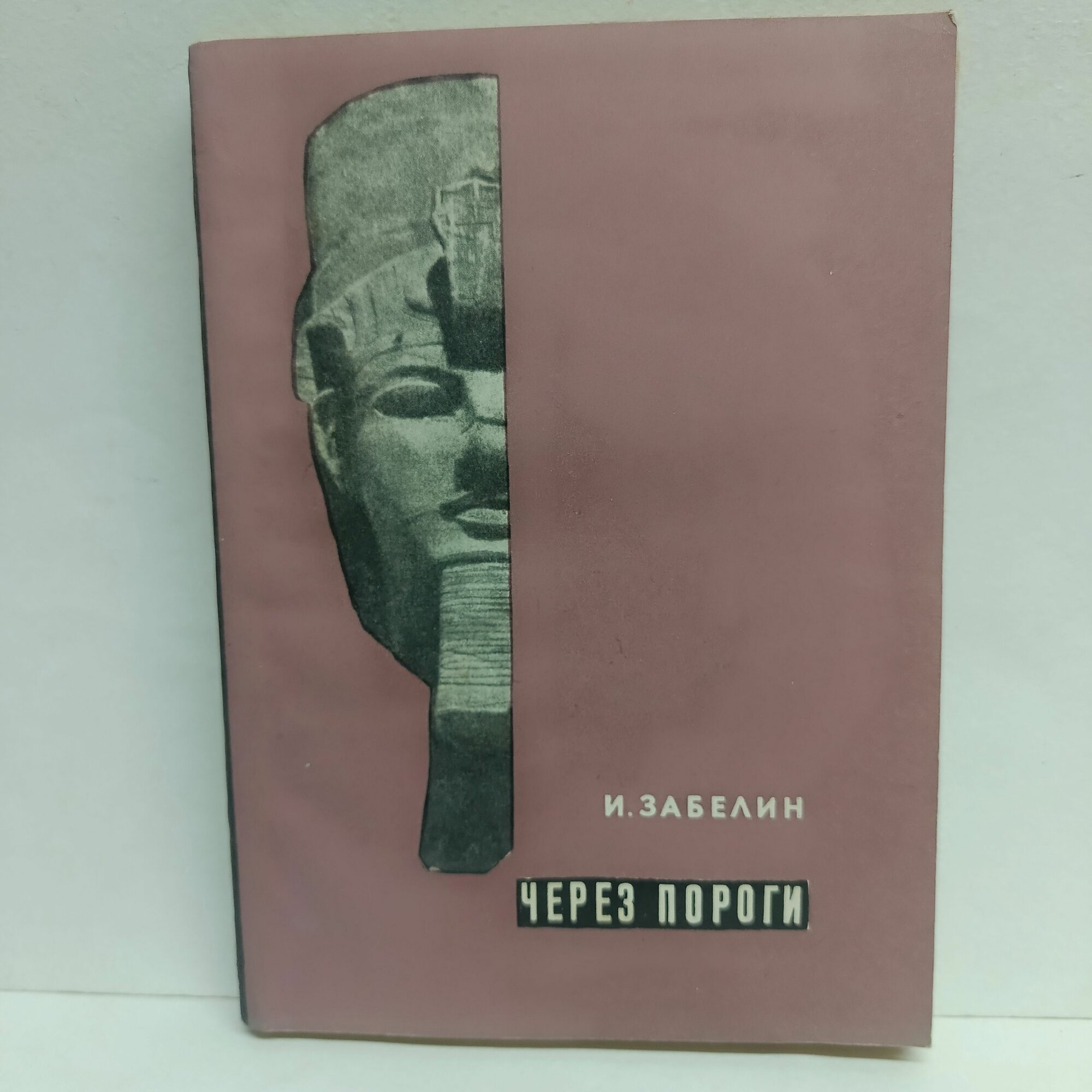 Через пороги. Раздумья ученого о прошлом, настоящем и будущем африканских стран